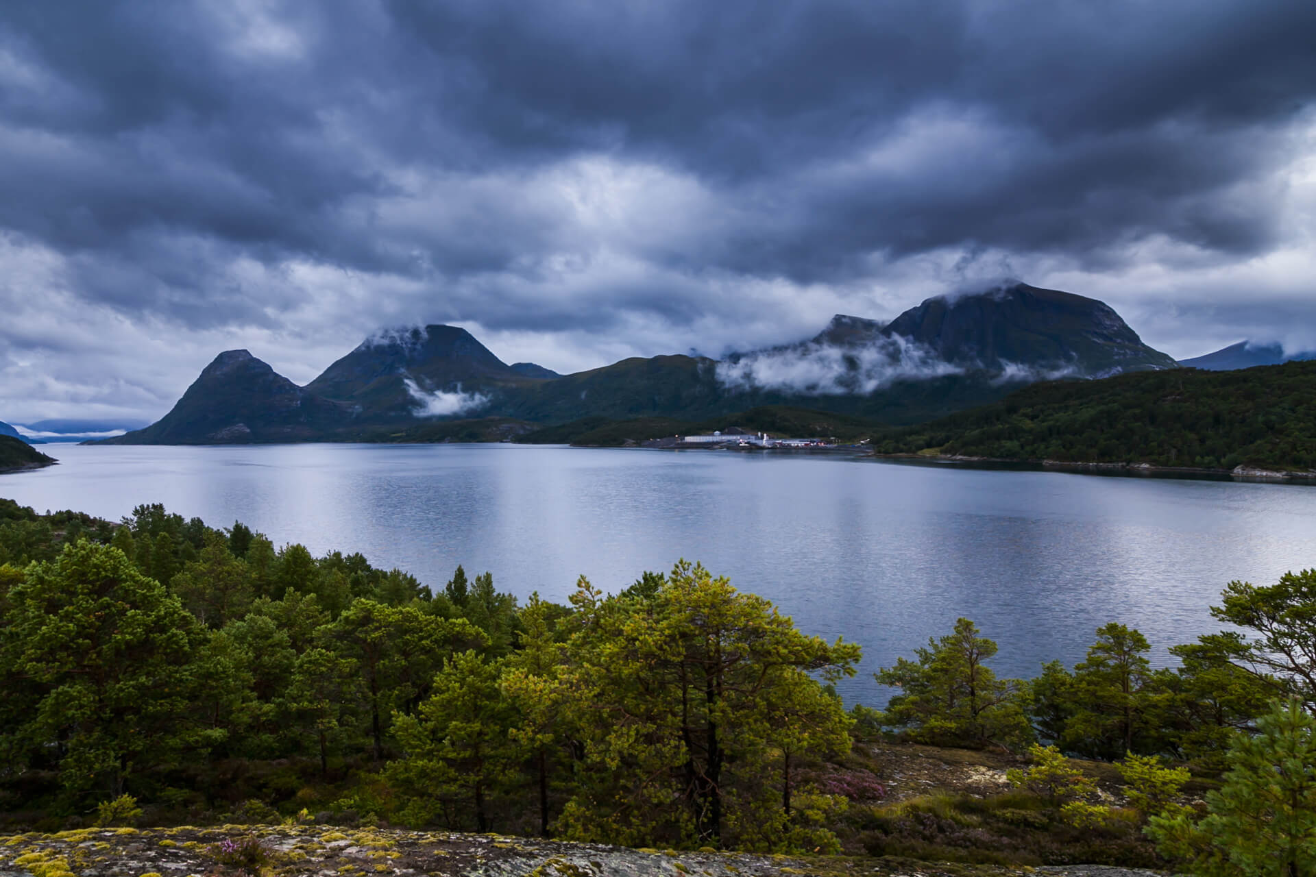 COVID-19 - Stewart Smith | Attorneys at Law